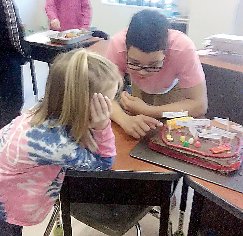 Students Create Cell Models | News, Sports, Jobs - The Intermountain